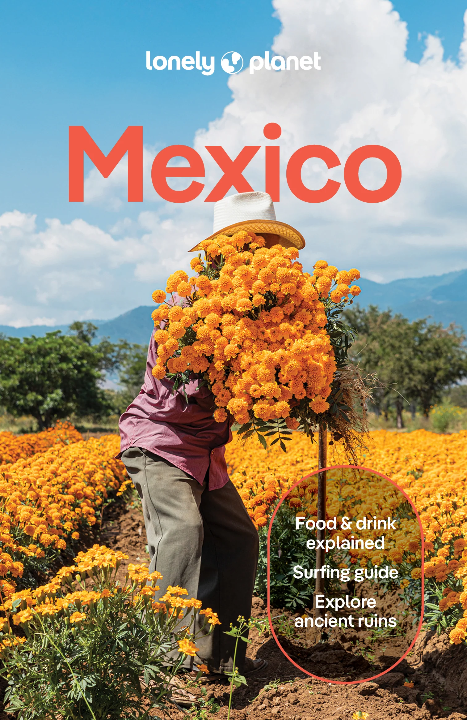 Mexico - Book + EBook - Lonely Planet Travel Guidebooks
