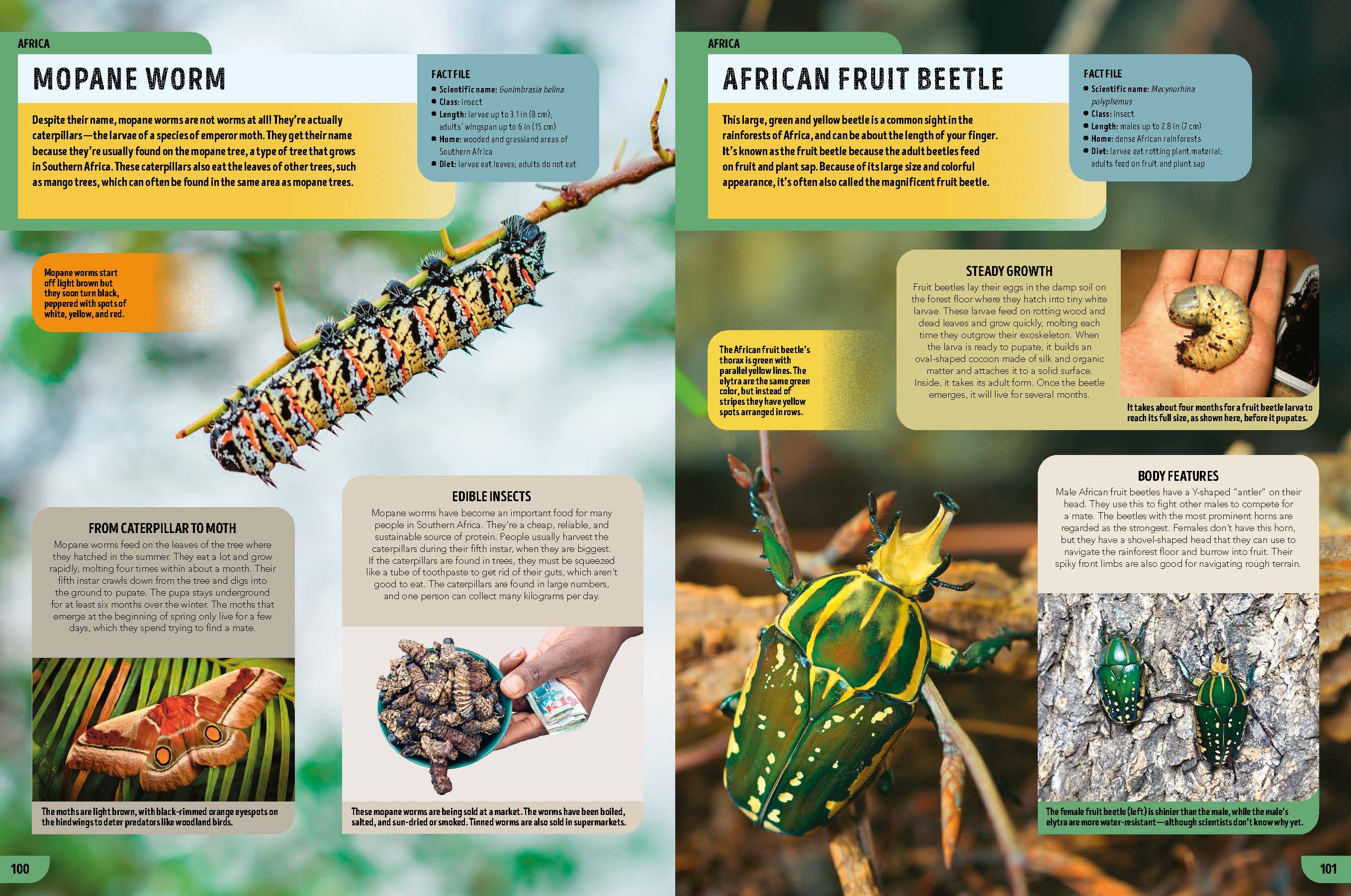 The Bugs Book (North & South America Edition) - Lonely Planet Travel ...